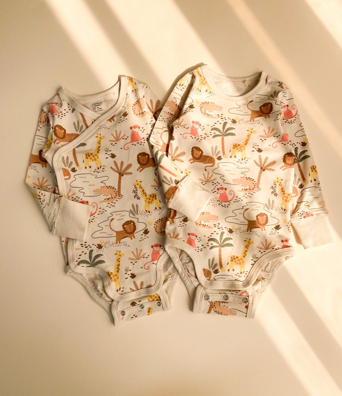 بادی لیندکس - جلی بیبی